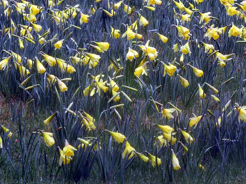 Lakes - George Starkey Hut - The Gentian Mountaineering & Hill Walking Club