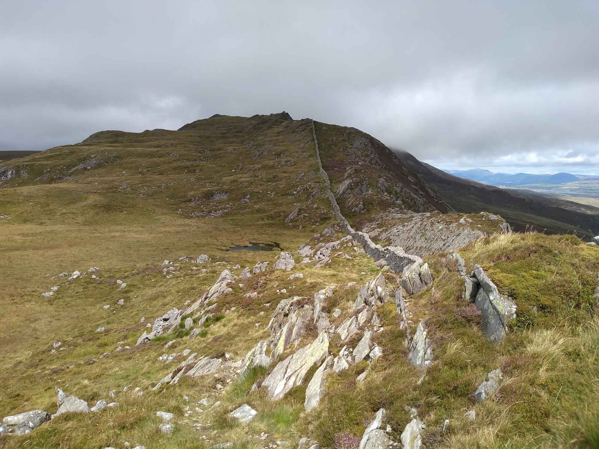 South Rhinogs - August 2020